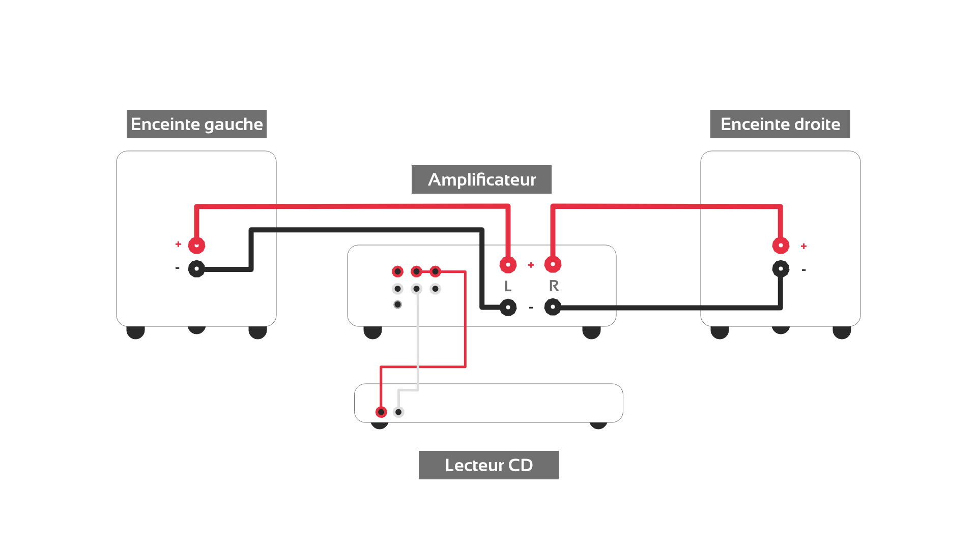 Comprendre les Branchements Hi-Fi