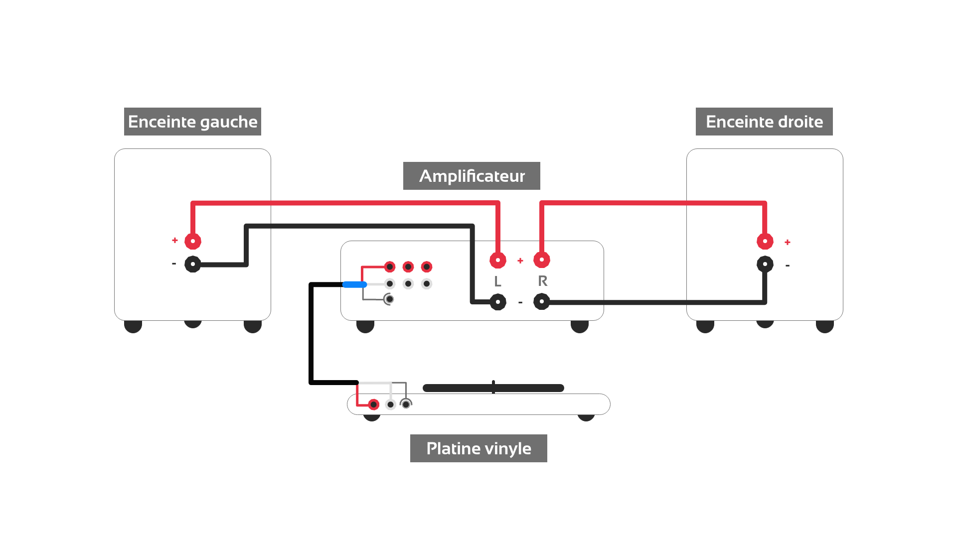 Comprendre les Branchements Hi-Fi